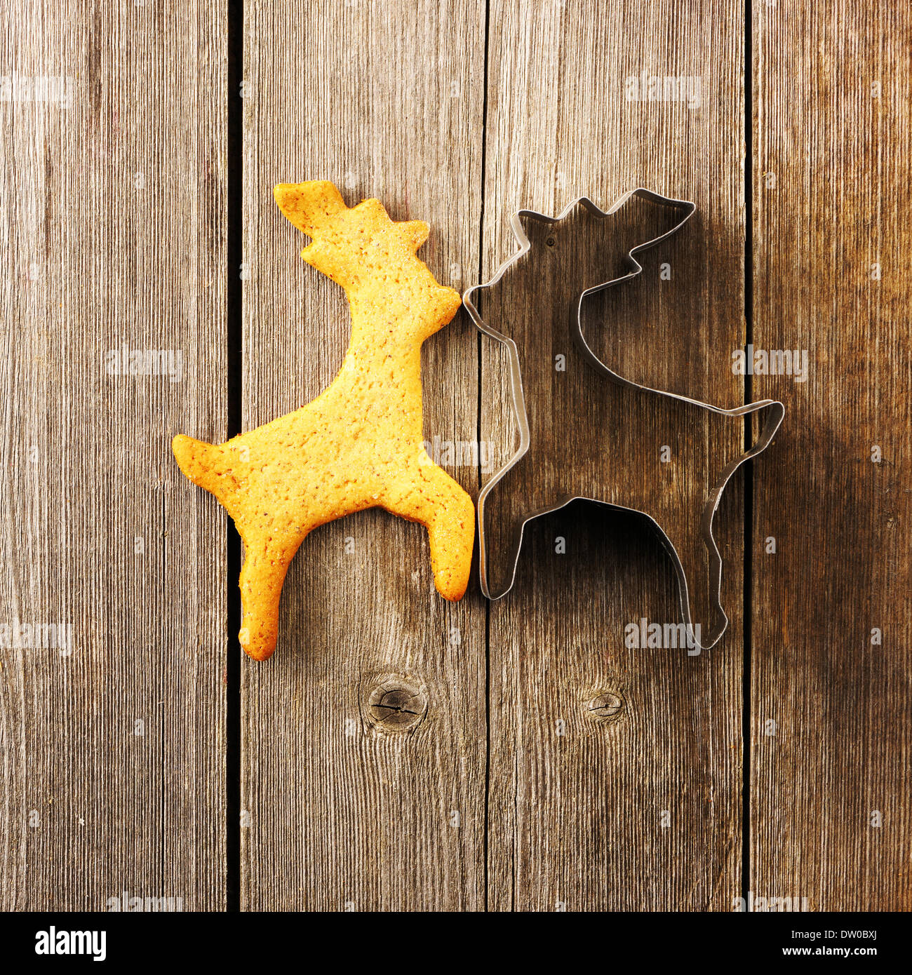 Christmas homemade gingerbread deer cookie Stock Photo - Alamy