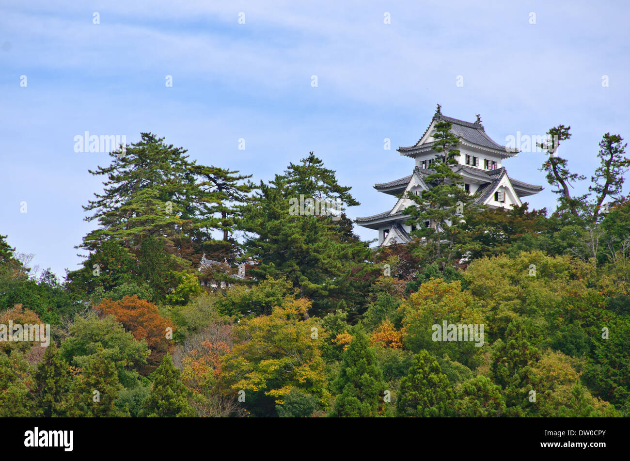 Gujo Hachiman Castle, Gifu Prefecture Stock Photo - Alamy