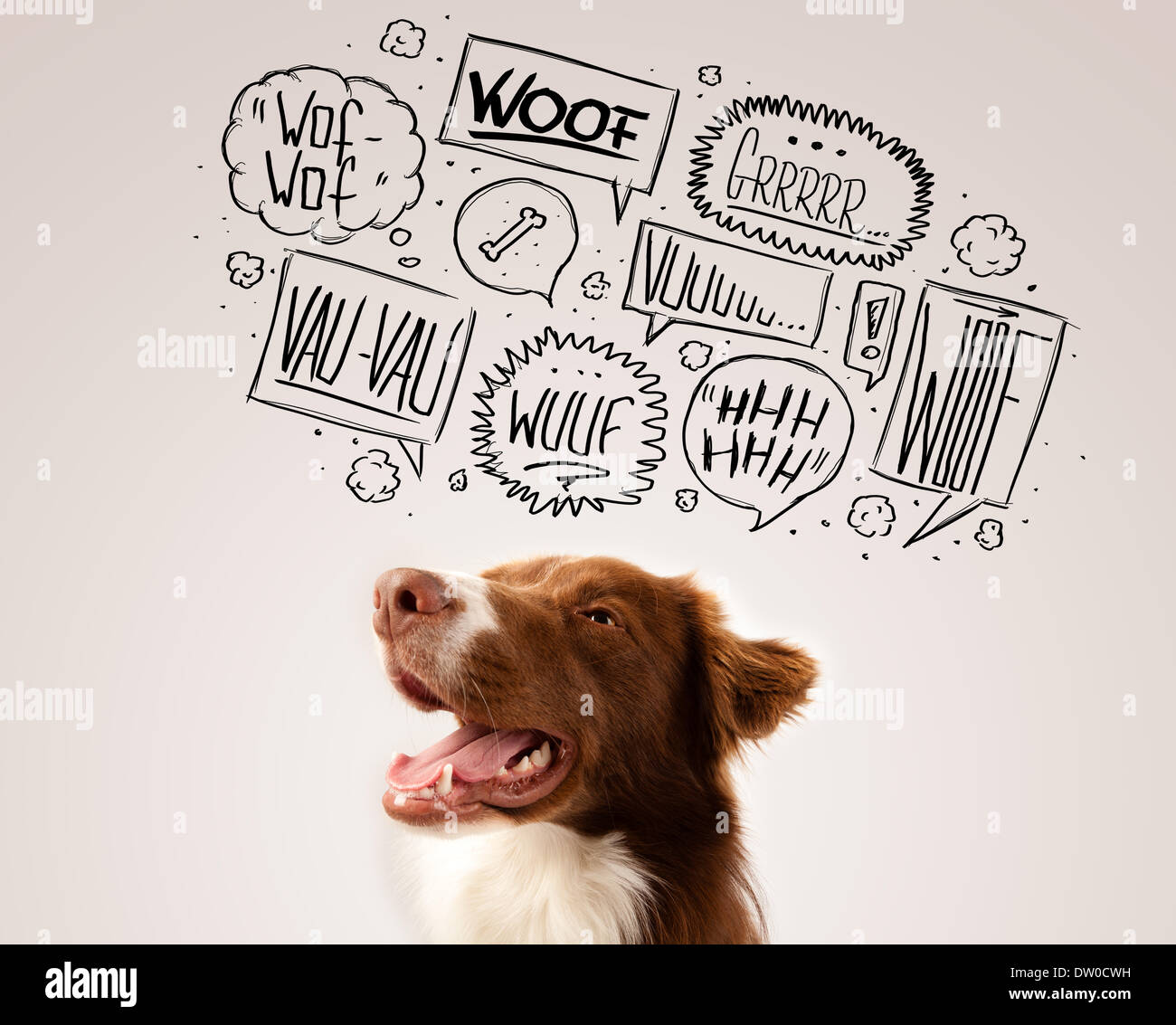 Cute dog with barking bubbles Stock Photo - Alamy