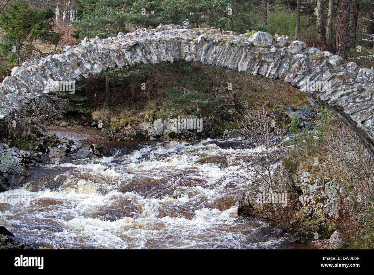 Carrbridge, UK. 25th Feb, 2014. The fast flowing river passes under the ...