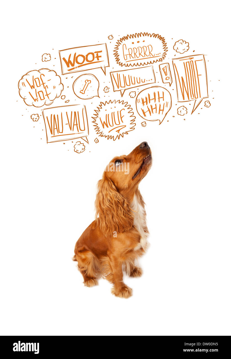 Cute dog with barking bubbles Stock Photo - Alamy