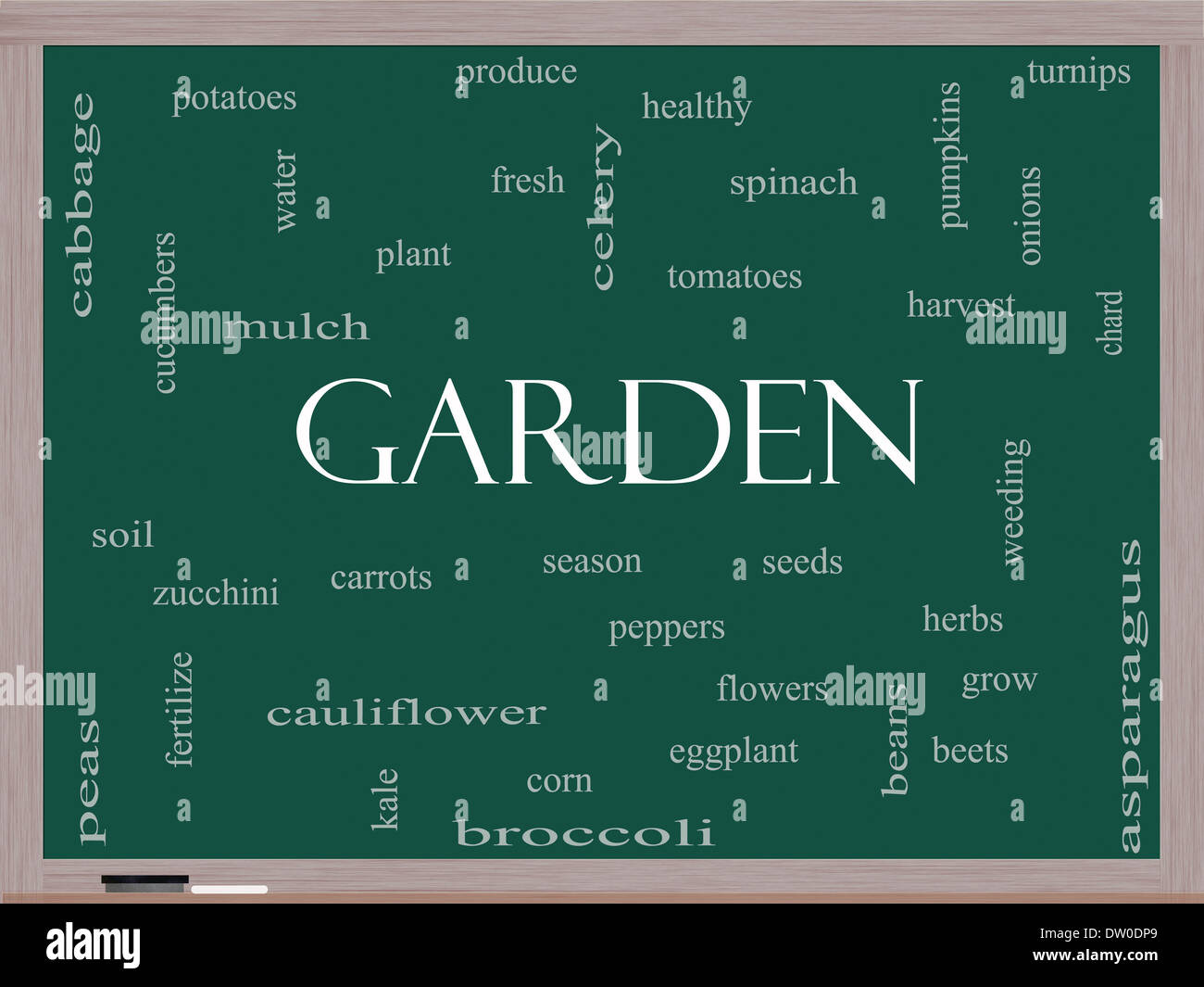 Garden Word Cloud Concept on a Blackboard with great terms such as ...