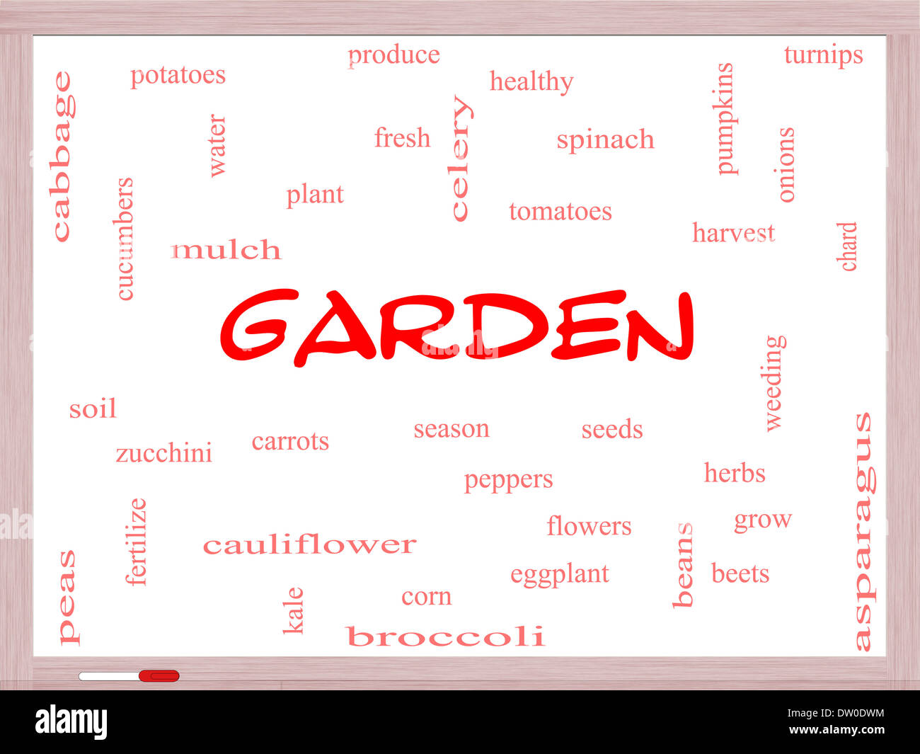 Garden Word Cloud Concept on a Whiteboard with great terms such as ...