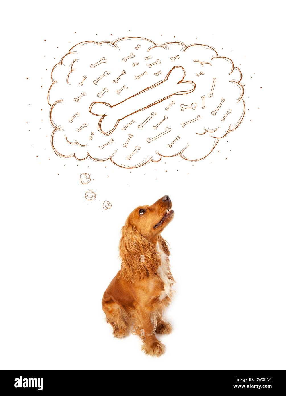 Cute dog with thought bubble thinking about a bone Stock Photo - Alamy