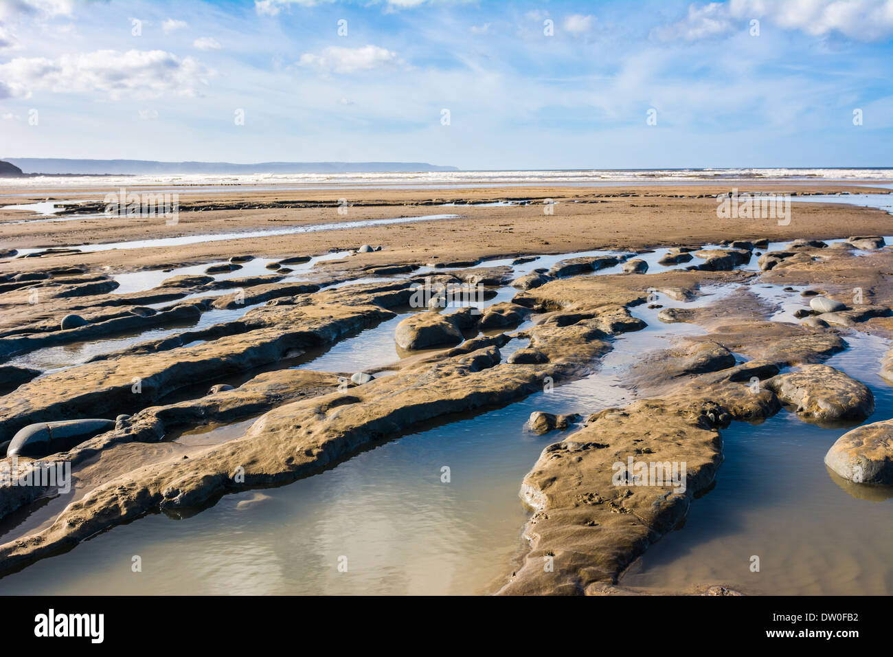 Peat on the sand hi-res stock photography and images - Alamy