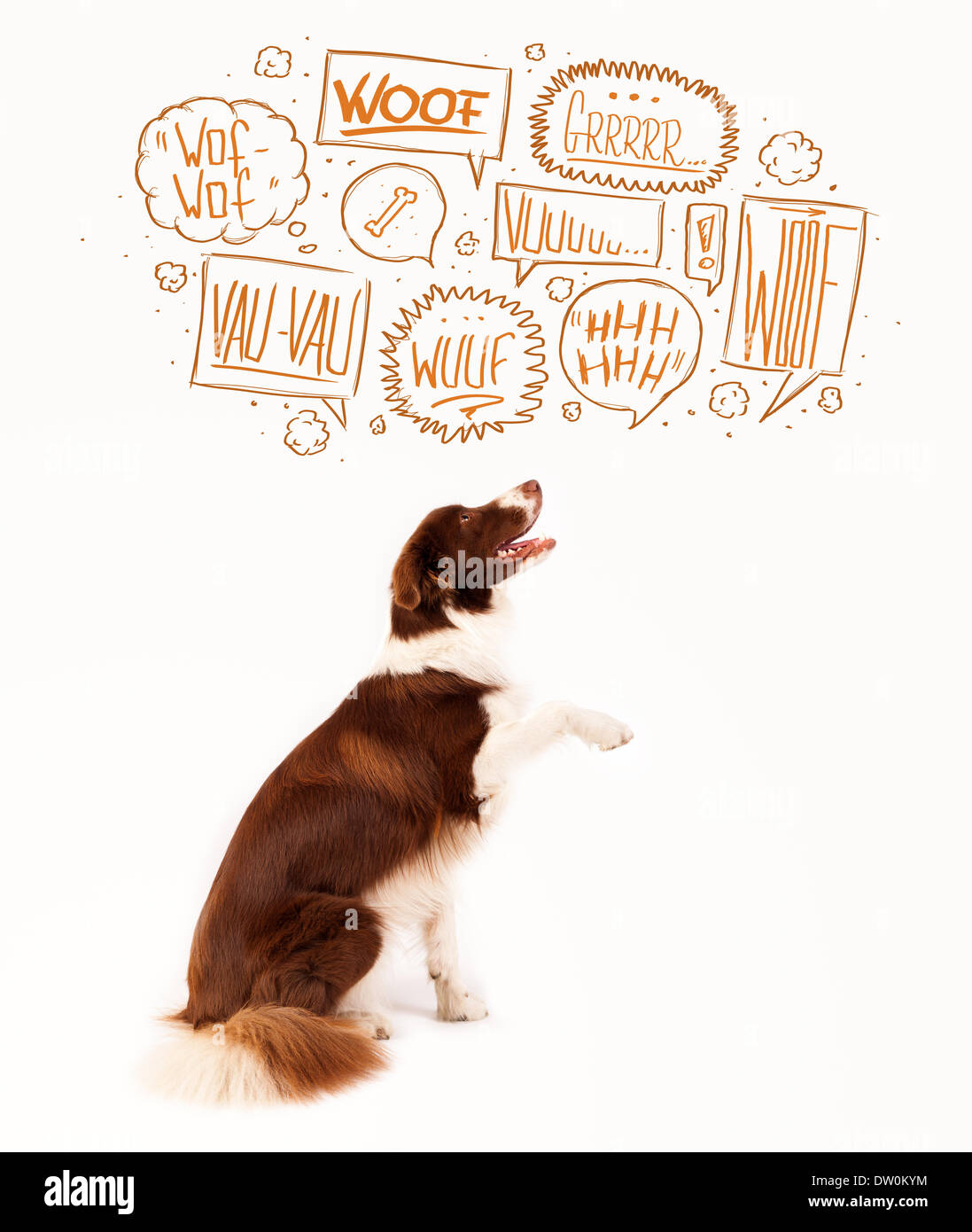 Cute dog with barking bubbles Stock Photo - Alamy