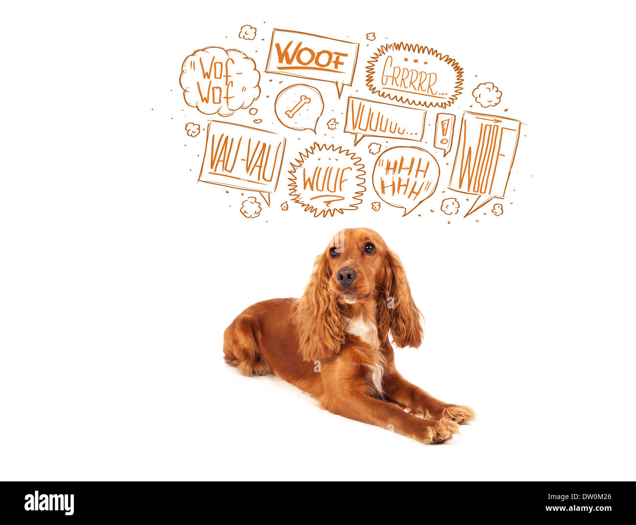 Cute dog with barking bubbles Stock Photo - Alamy