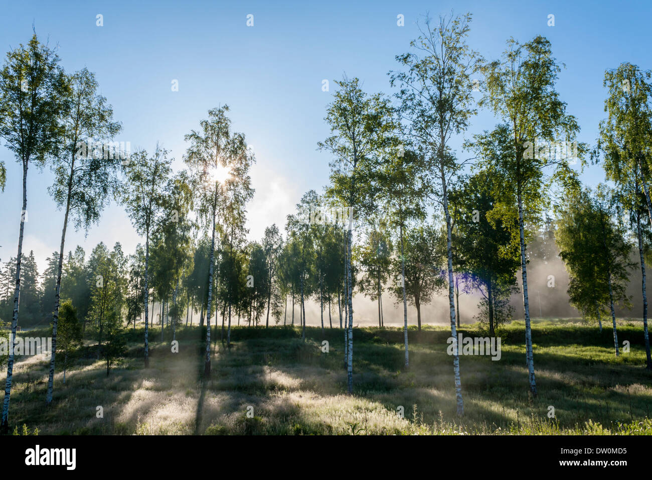 3026 hi-res stock photography and images - Alamy
