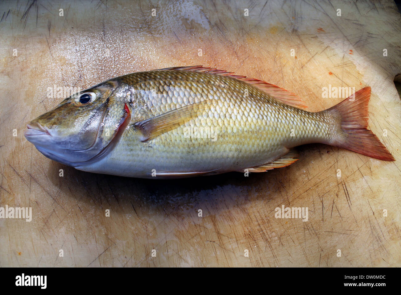 Cutting fish cleaning hi-res stock photography and images - Alamy