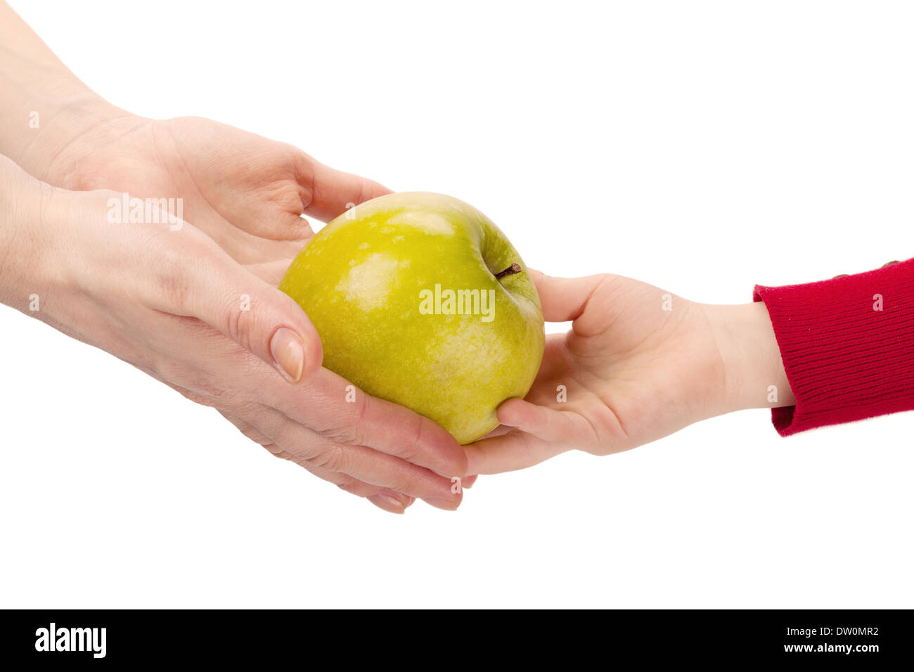 Mothers hands give apple to child's hands isolated on white background ...
