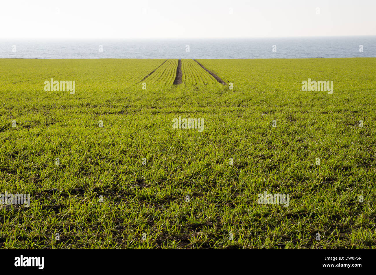 Springtime field hi-res stock photography and images - Alamy