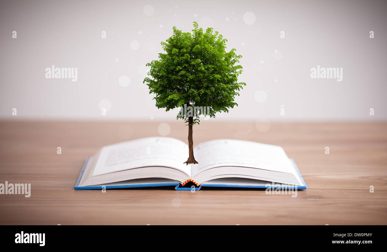 Tree growing from an open book Stock Photo - Alamy