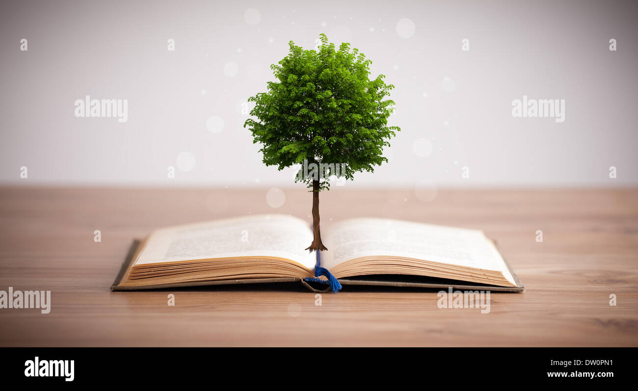 Tree growing from an open book Stock Photo - Alamy