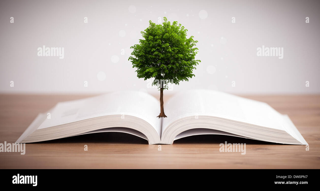 Tree growing from an open book Stock Photo - Alamy