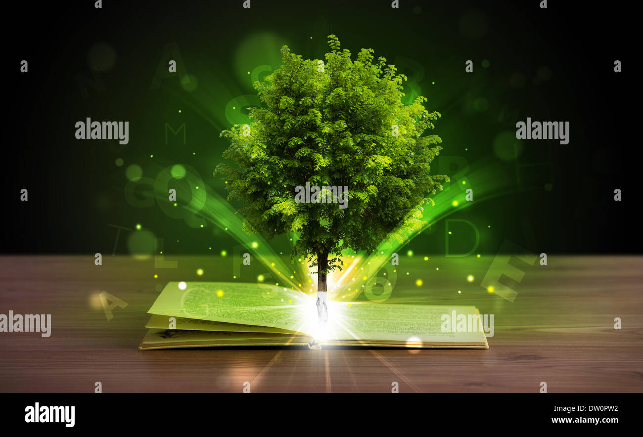 Open book with magical green tree and rays of light Stock Photo - Alamy