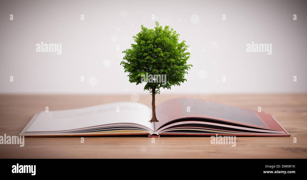 Tree growing from an open book Stock Photo - Alamy