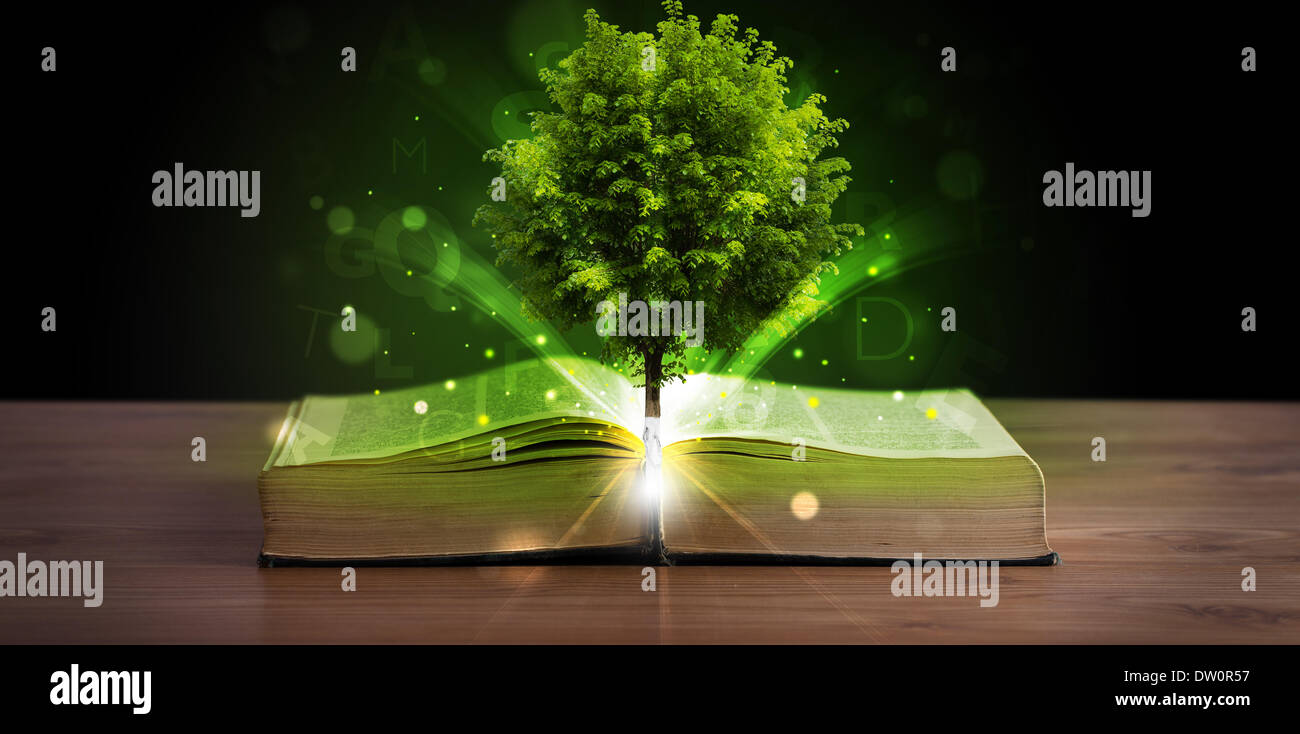 Open book with magical green tree and rays of light Stock Photo - Alamy