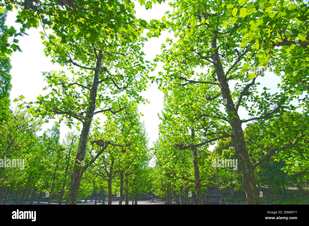 Greenery research and development center hi-res stock photography and ...