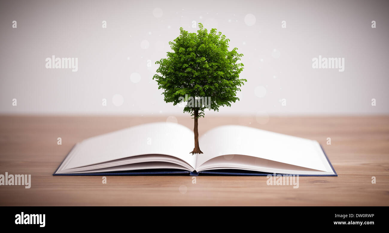 Field and tree from the album page hi-res stock photography and images ...
