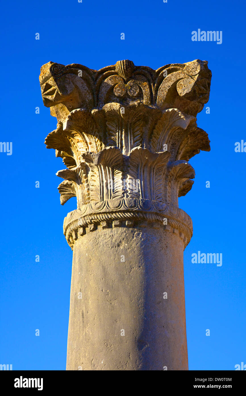 Pillar volubilis morocco north africa hi-res stock photography and ...