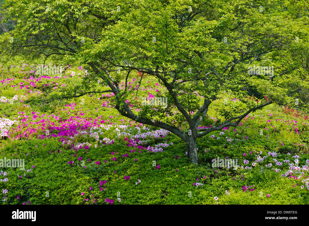 Greenery research and development center hi-res stock photography and ...