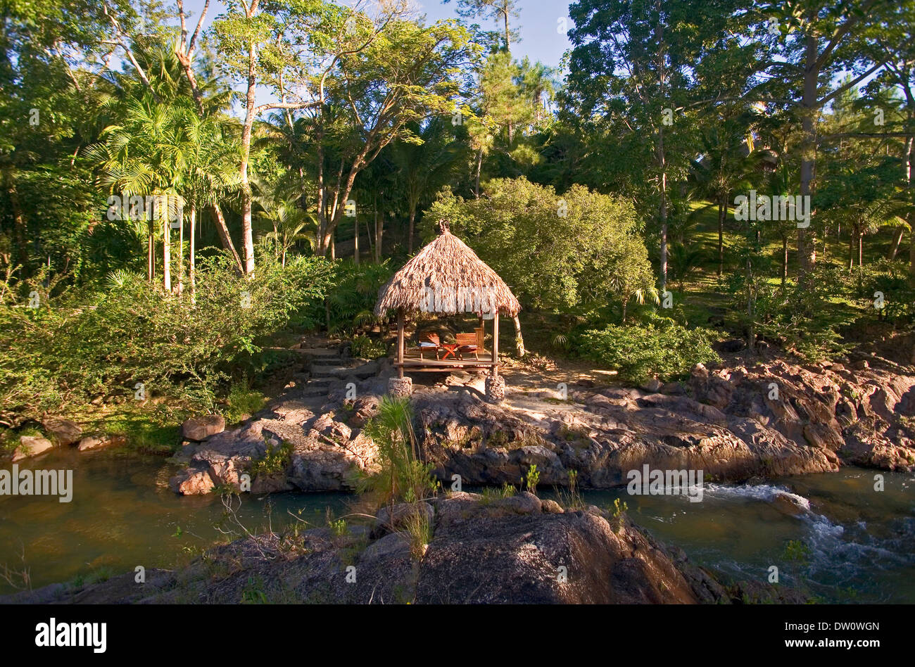 Privassion Creek; Mountain Pine Ridge, Belize Stock Photo - Alamy