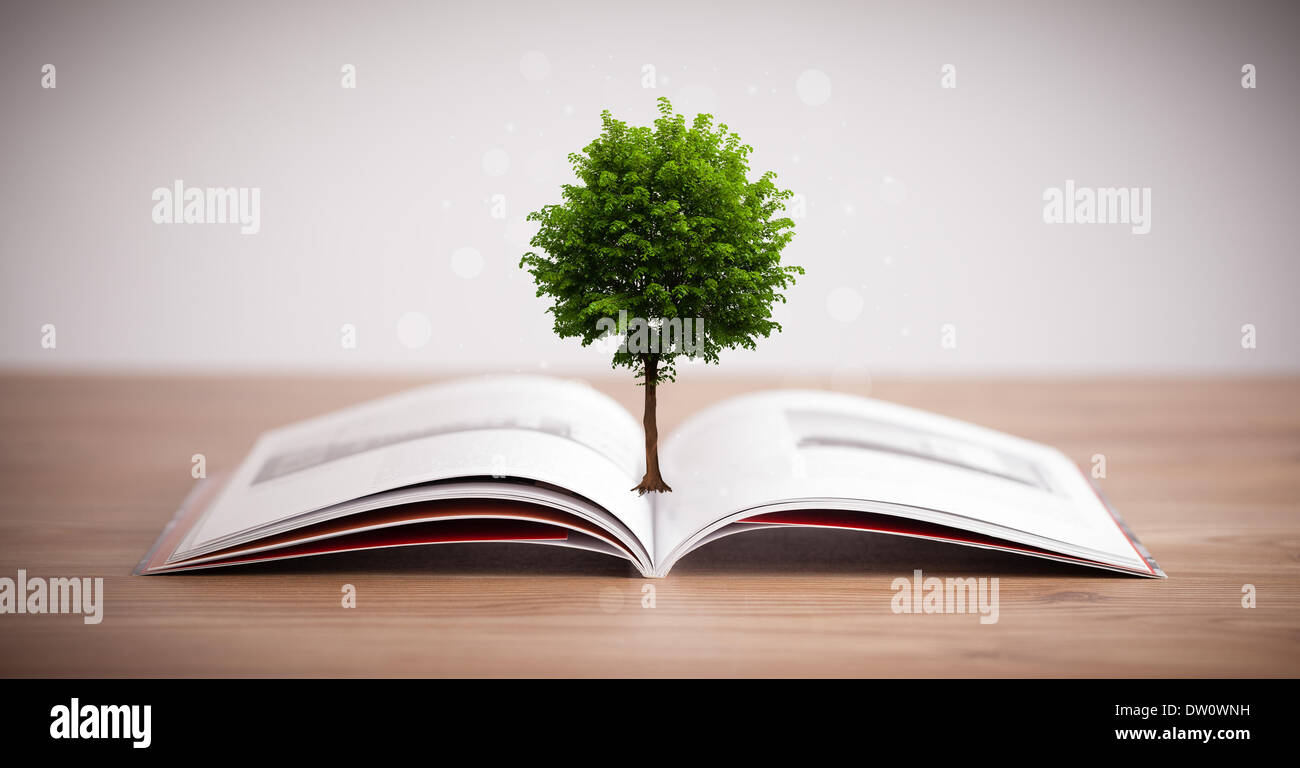 Tree growing from an open book Stock Photo - Alamy