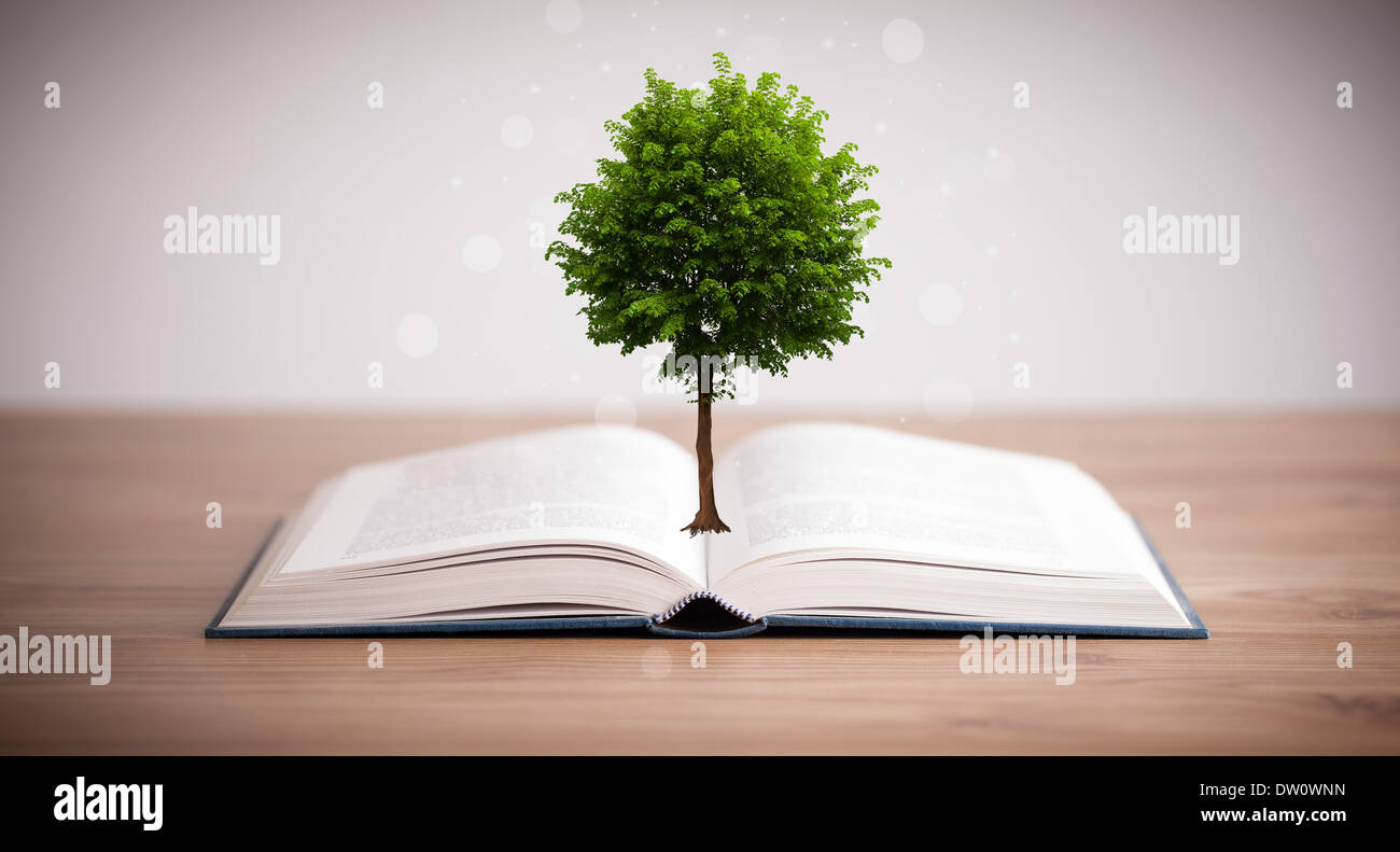 Tree growing from an open book Stock Photo - Alamy