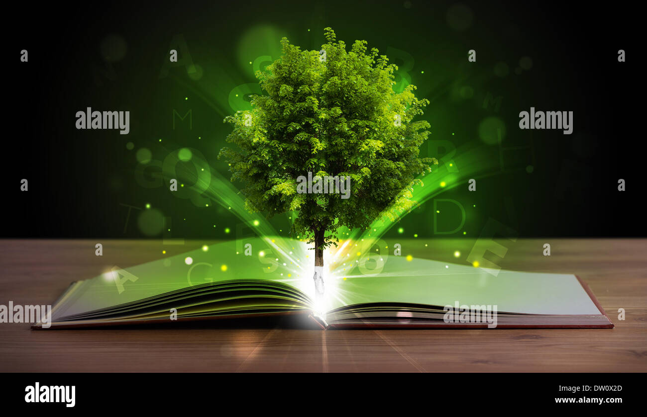 Open book with magical green tree and rays of light Stock Photo - Alamy