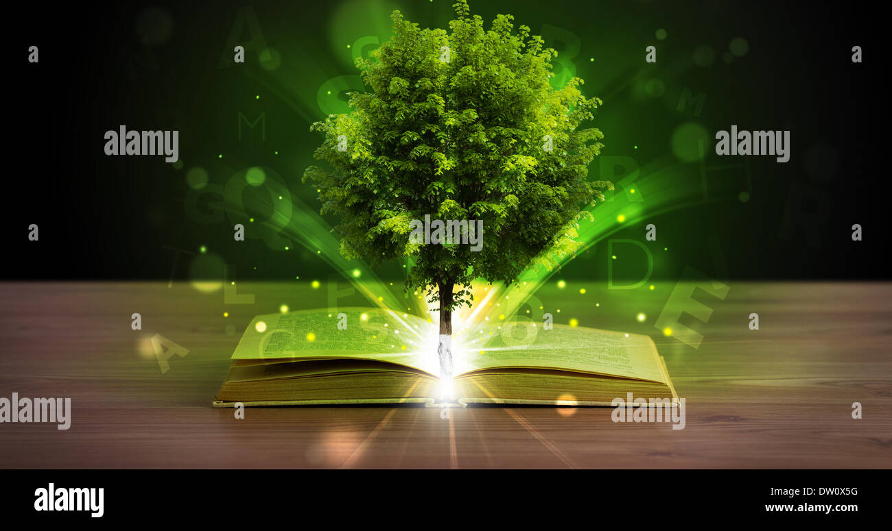 Open book with magical green tree and rays of light Stock Photo - Alamy