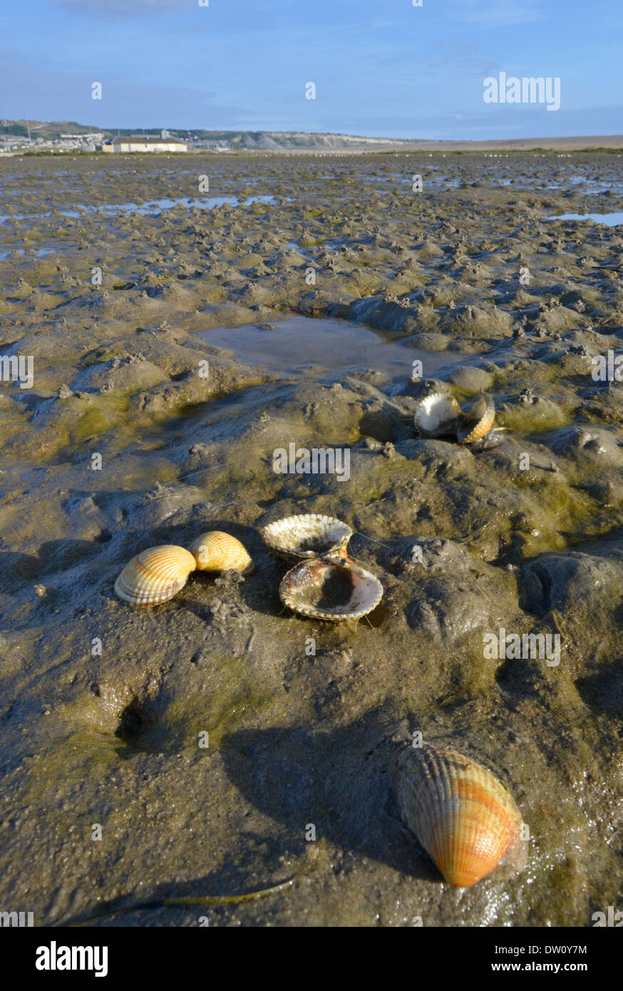 Ferrybridge hi-res stock photography and images - Alamy