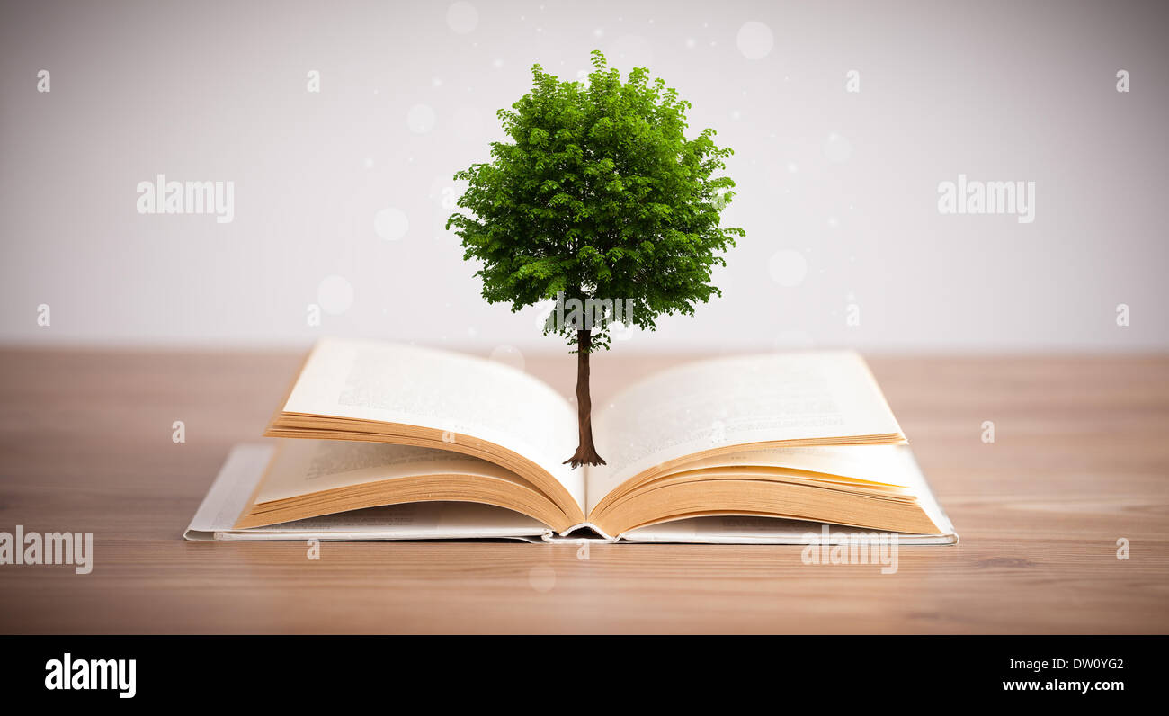 Tree growing from an open book Stock Photo - Alamy
