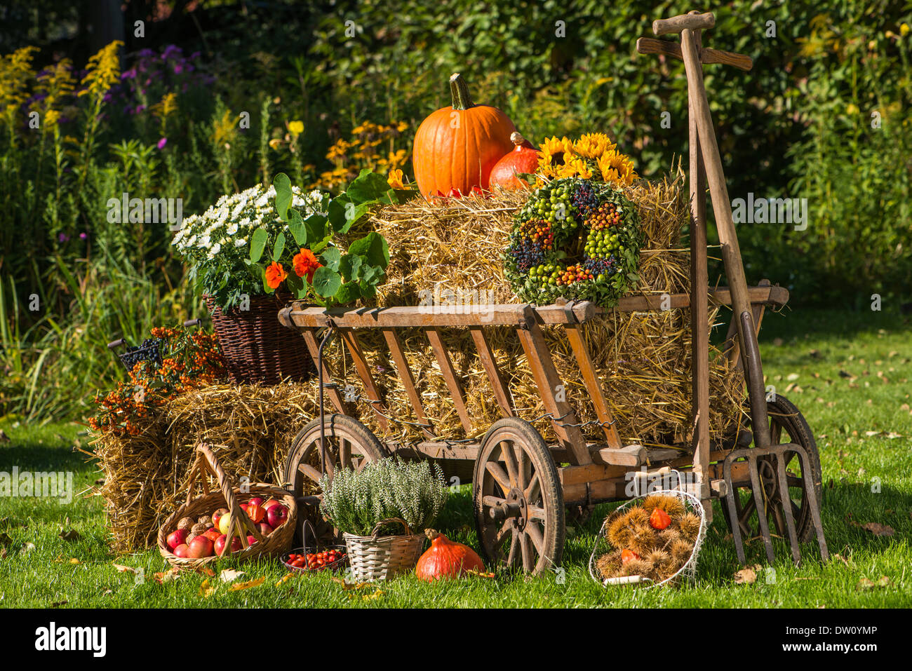 Old carriage cart decorated with autumn fruits and flowers Stock Photo ...