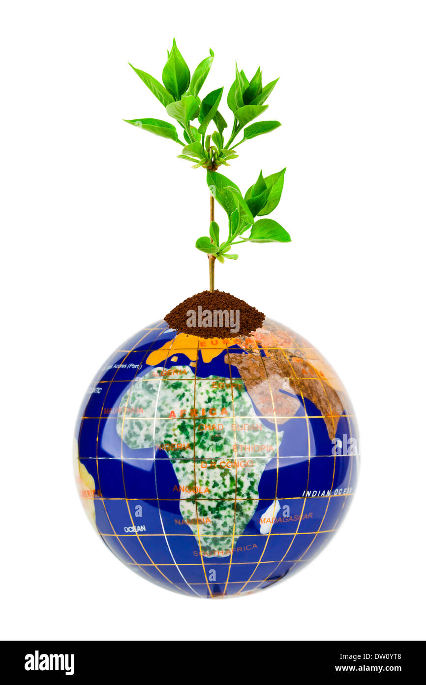 Globe planet green plant conservation concept abstract hi-res stock ...