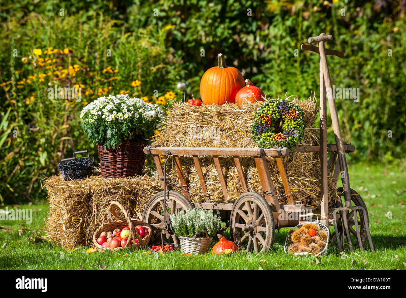 Old allotment cart hi-res stock photography and images - Alamy