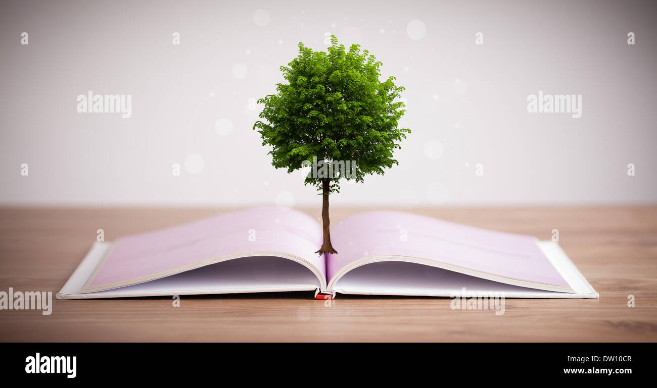 Tree growing from an open book Stock Photo - Alamy