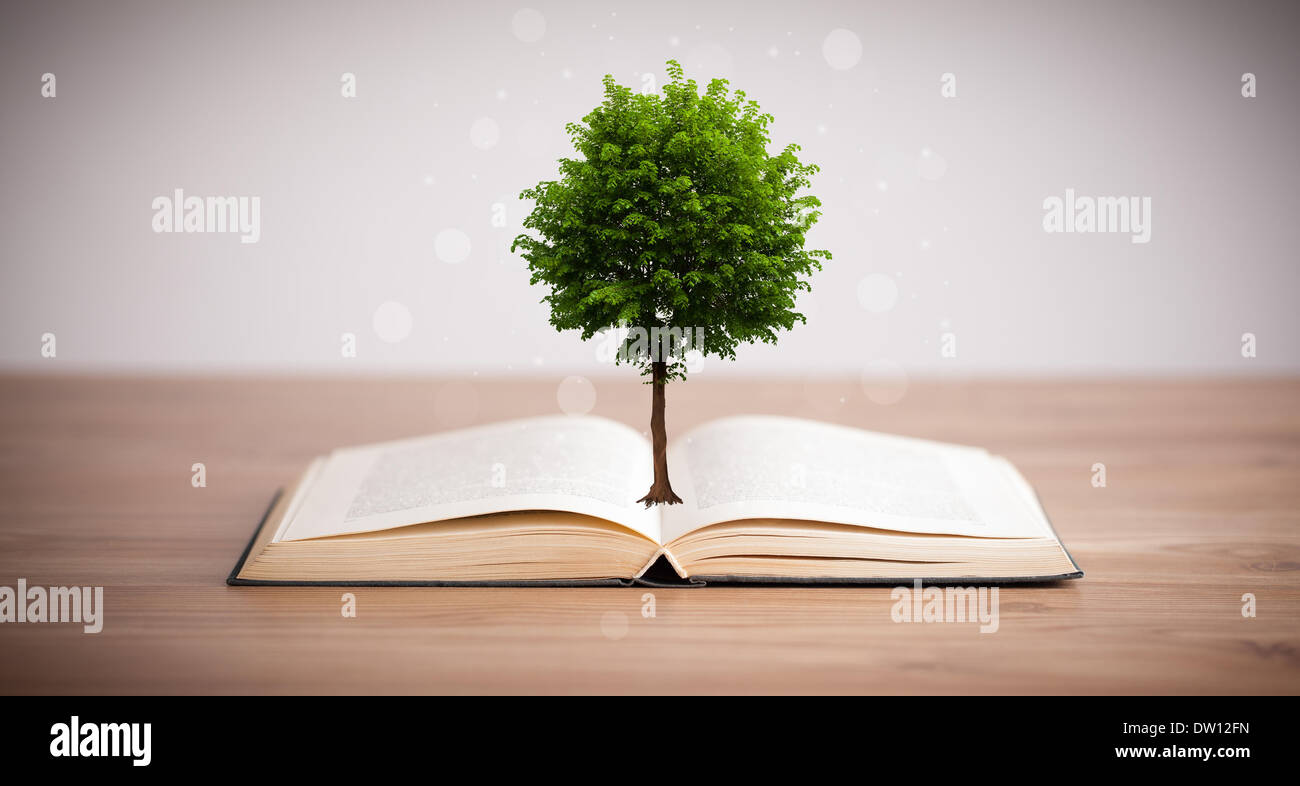 Tree growing from an open book Stock Photo - Alamy