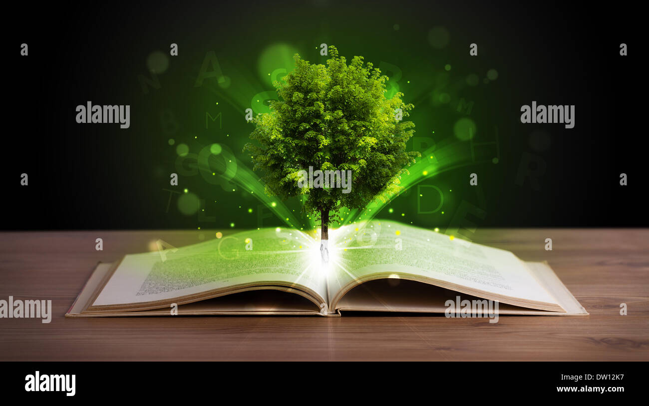 Open book with magical green tree and rays of light Stock Photo - Alamy
