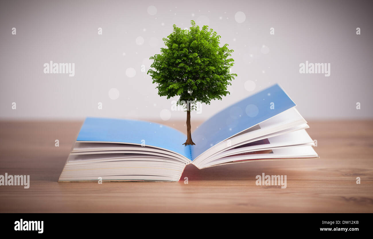 Tree growing from an open book Stock Photo - Alamy