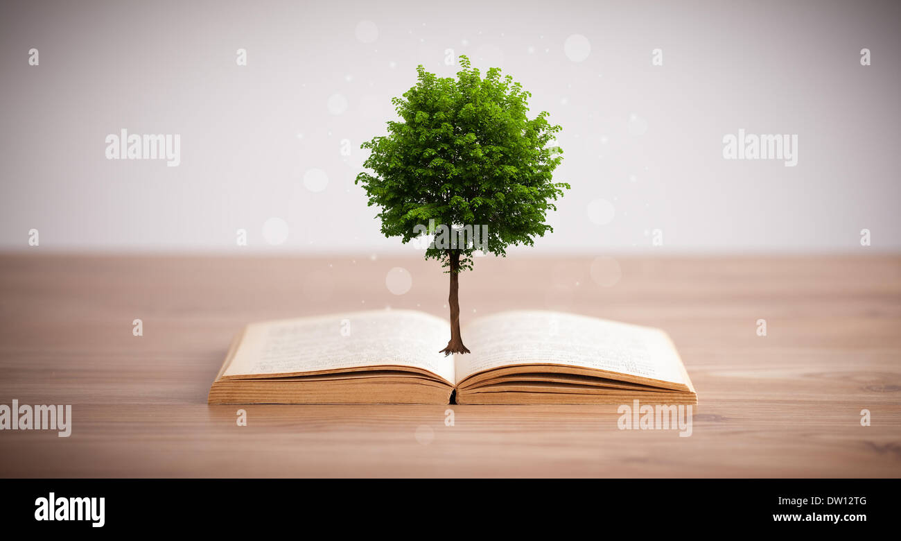 Tree growing from an open book Stock Photo - Alamy
