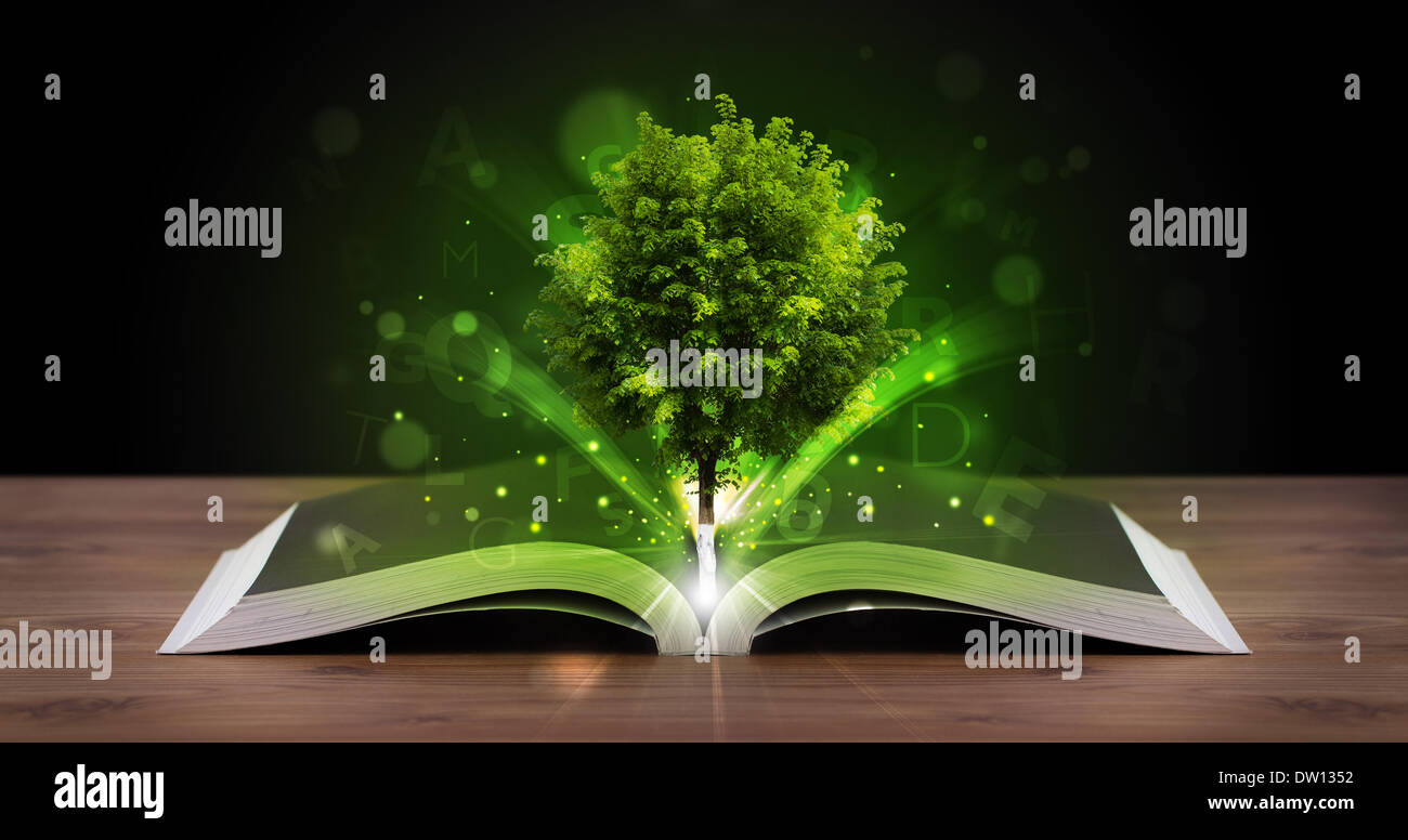 Open book with magical green tree and rays of light Stock Photo - Alamy