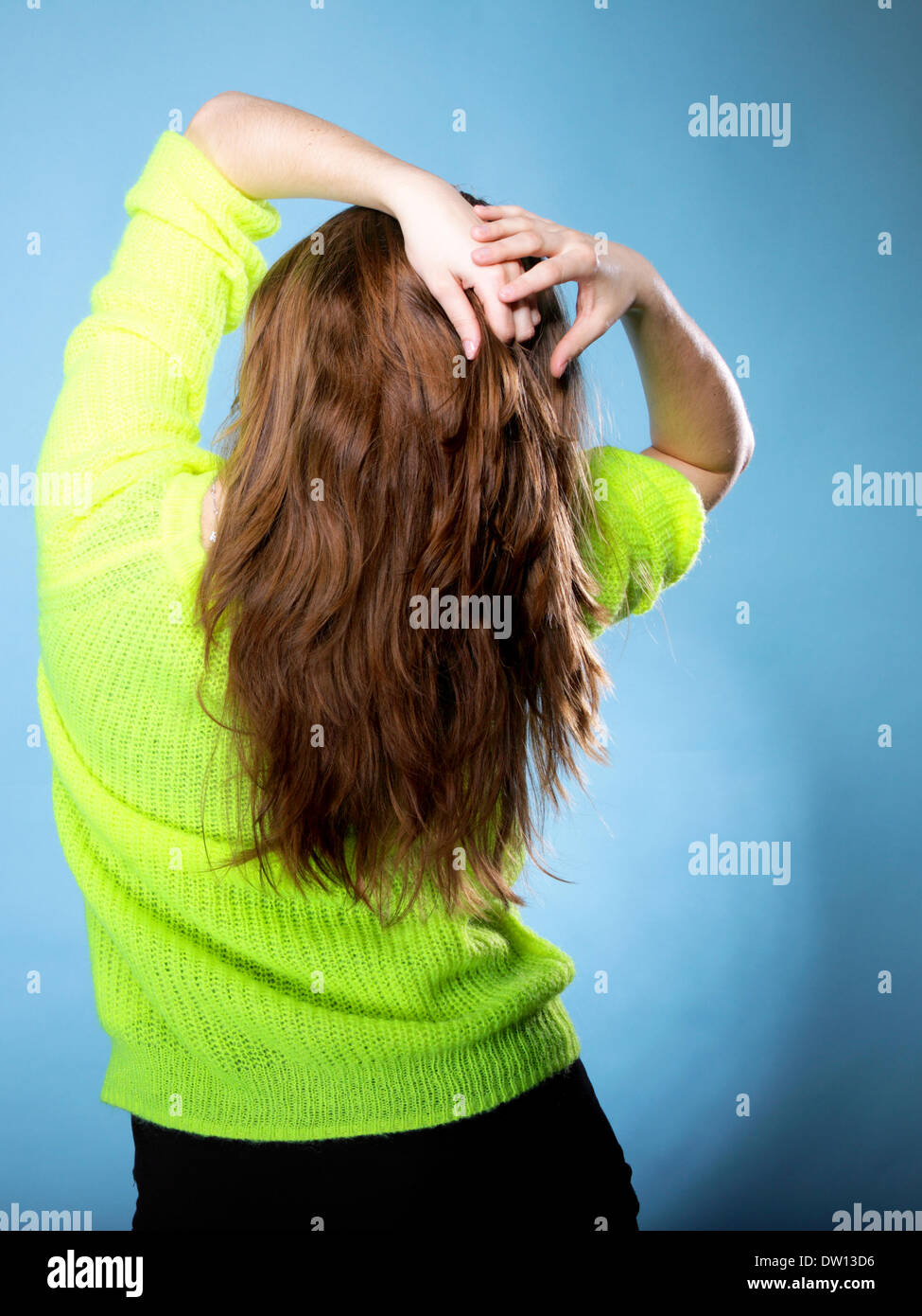 Beautiful female brown long hair back view Stock Photo - Alamy
