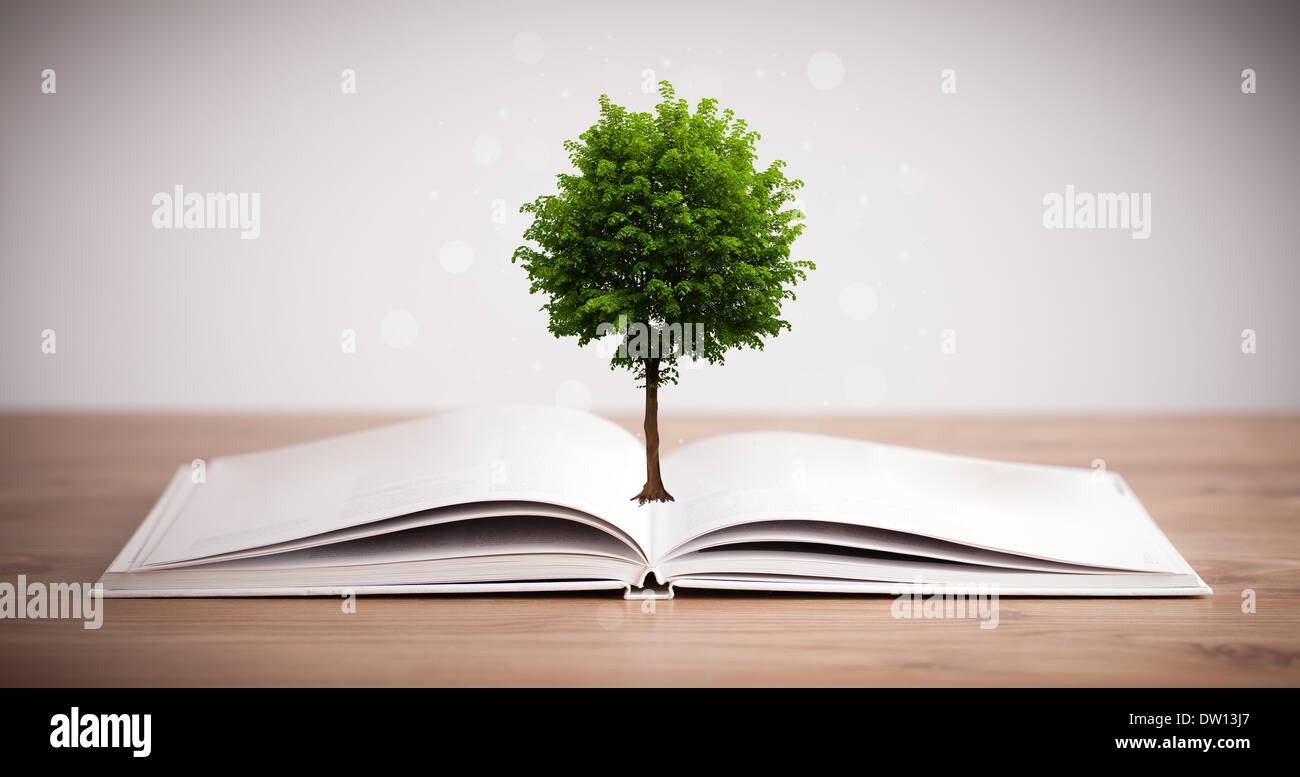 Tree growing from an open book Stock Photo - Alamy