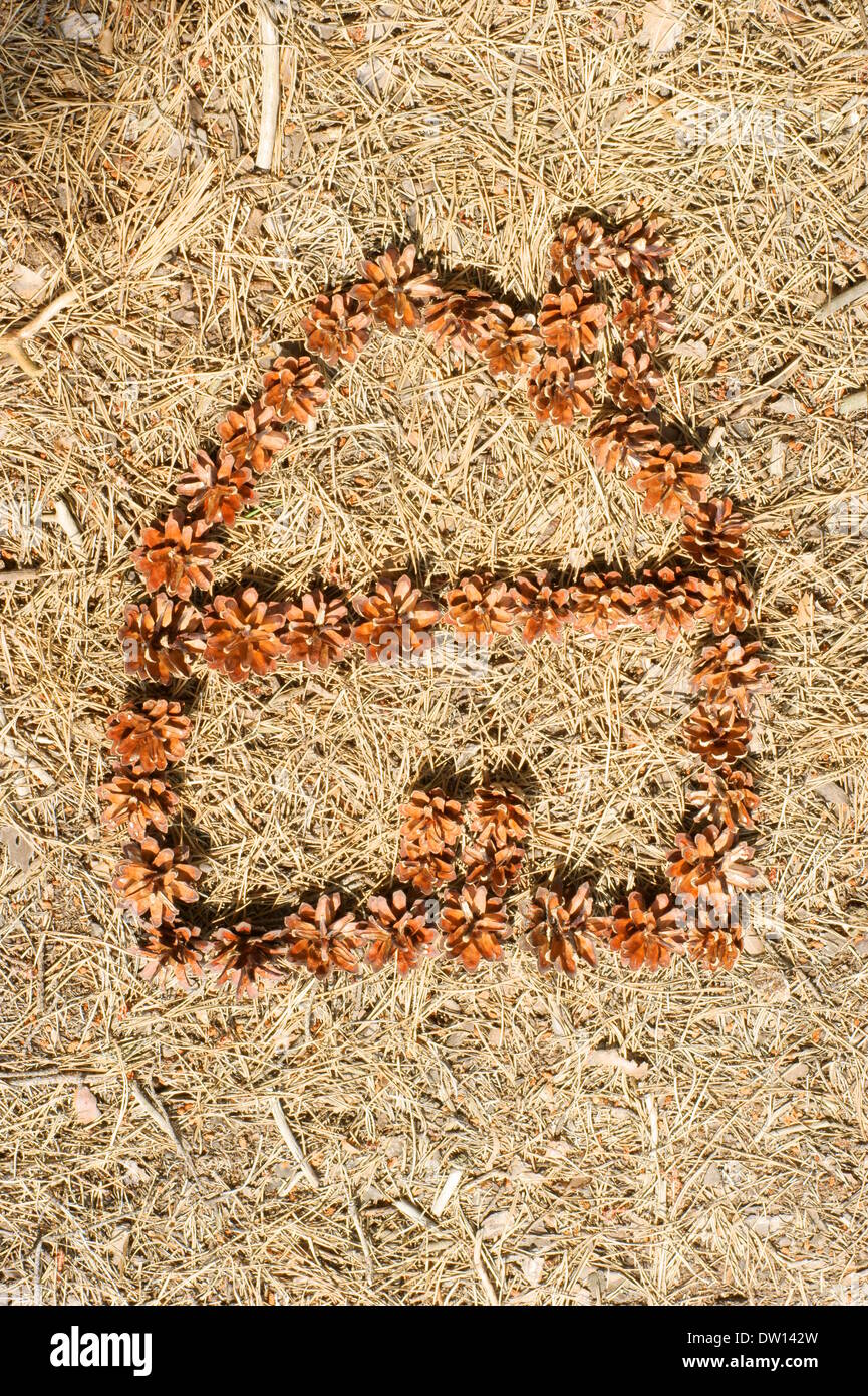 Woodsy home hi-res stock photography and images - Alamy