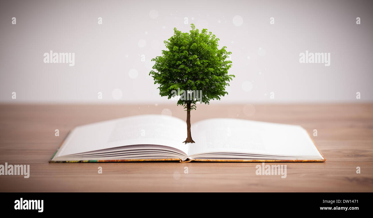 Tree growing from an open book Stock Photo - Alamy