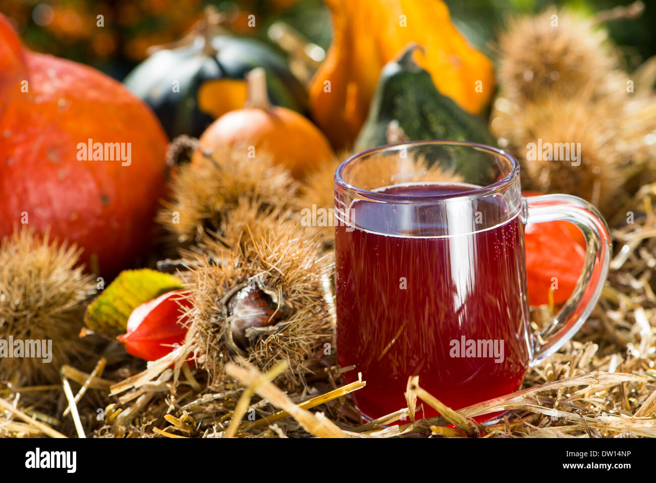 Grape juice with noble chestnuts and pumpkins Stock Photo - Alamy
