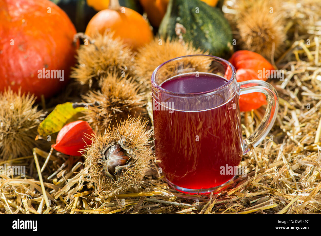 Grape juice with noble chestnuts and pumpkins Stock Photo - Alamy