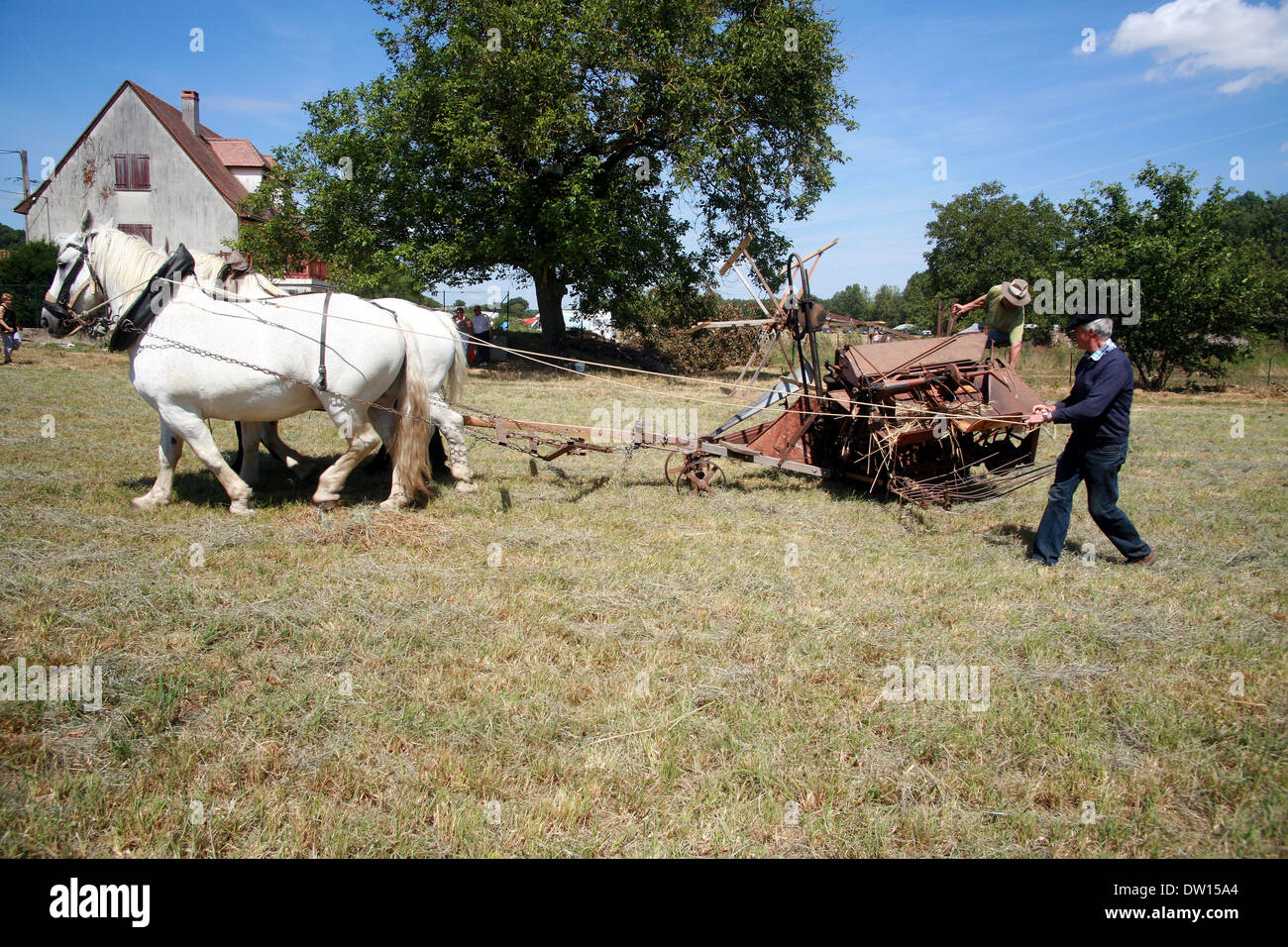 Traditional Farming with heavy horses, France Stock Photo - Alamy