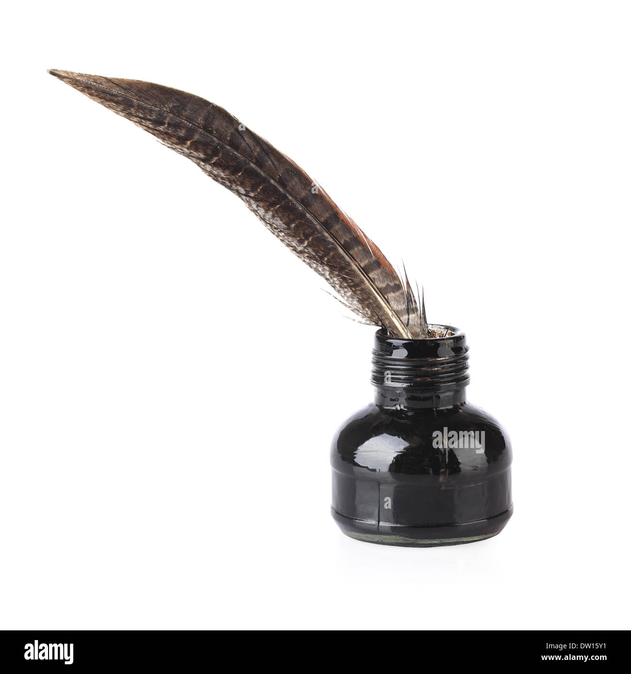 Ink style bird drawing Cut Out Stock Images & Pictures - Alamy