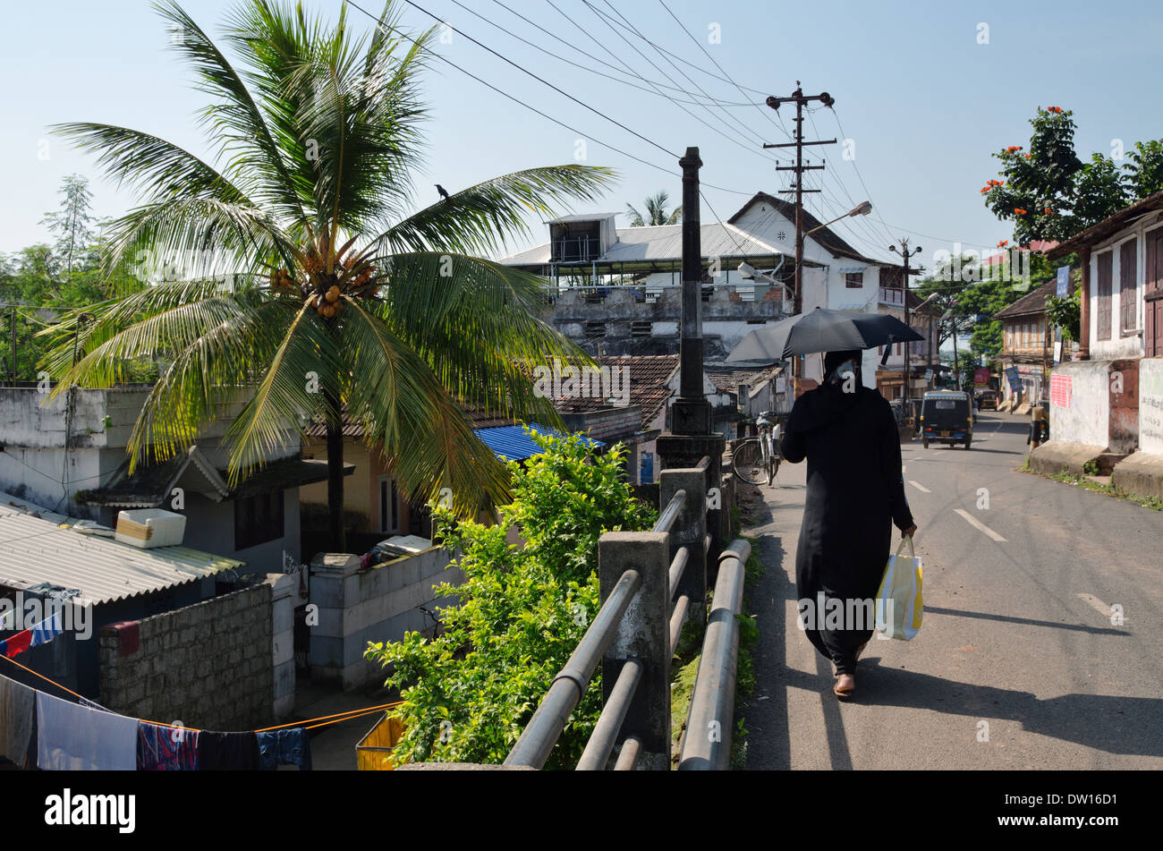 Fort cochin kerala india tree hi-res stock photography and images - Alamy
